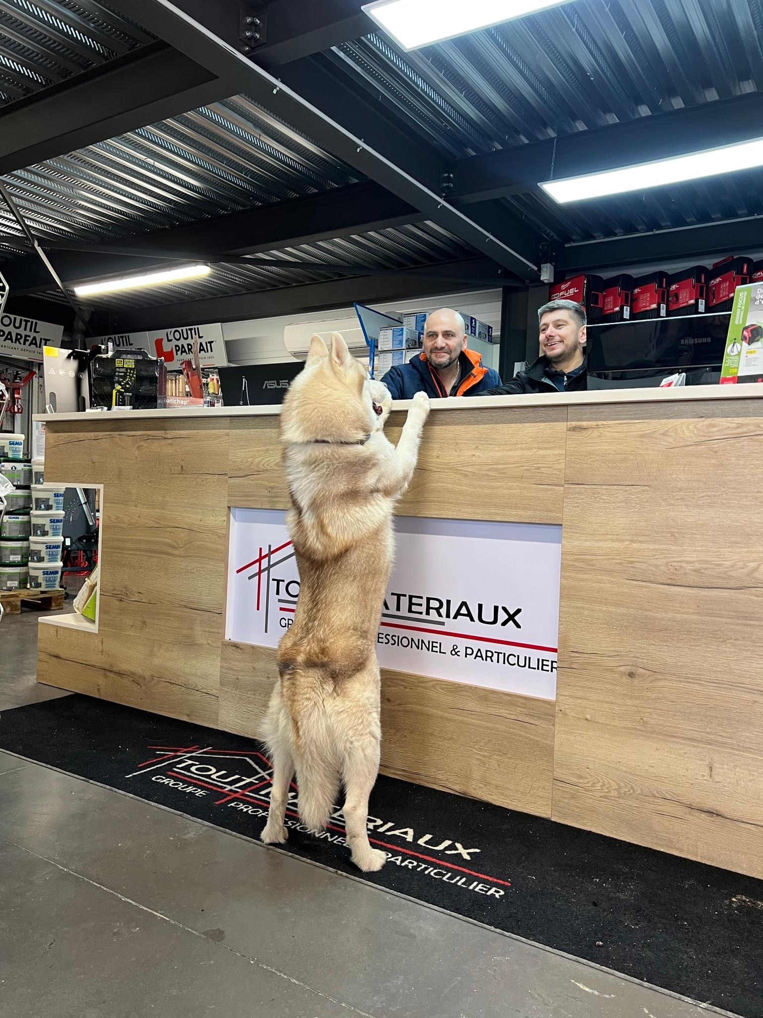 Visite surprise du chien du film Hatchi chez Tout Matériaux ! - BigMat ...