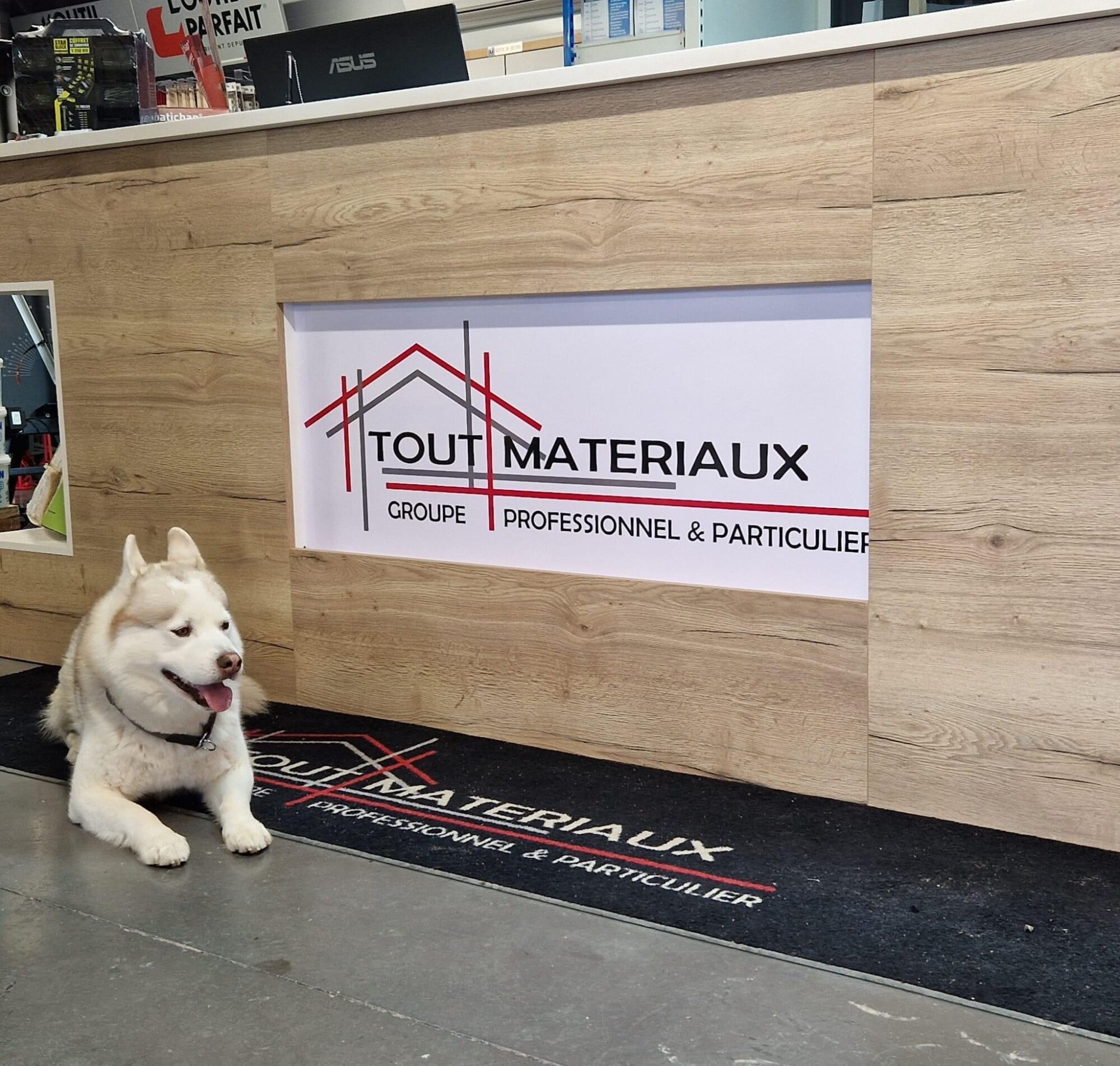 Visite surprise du chien du film Hatchi chez Tout Matériaux ! - BigMat ...